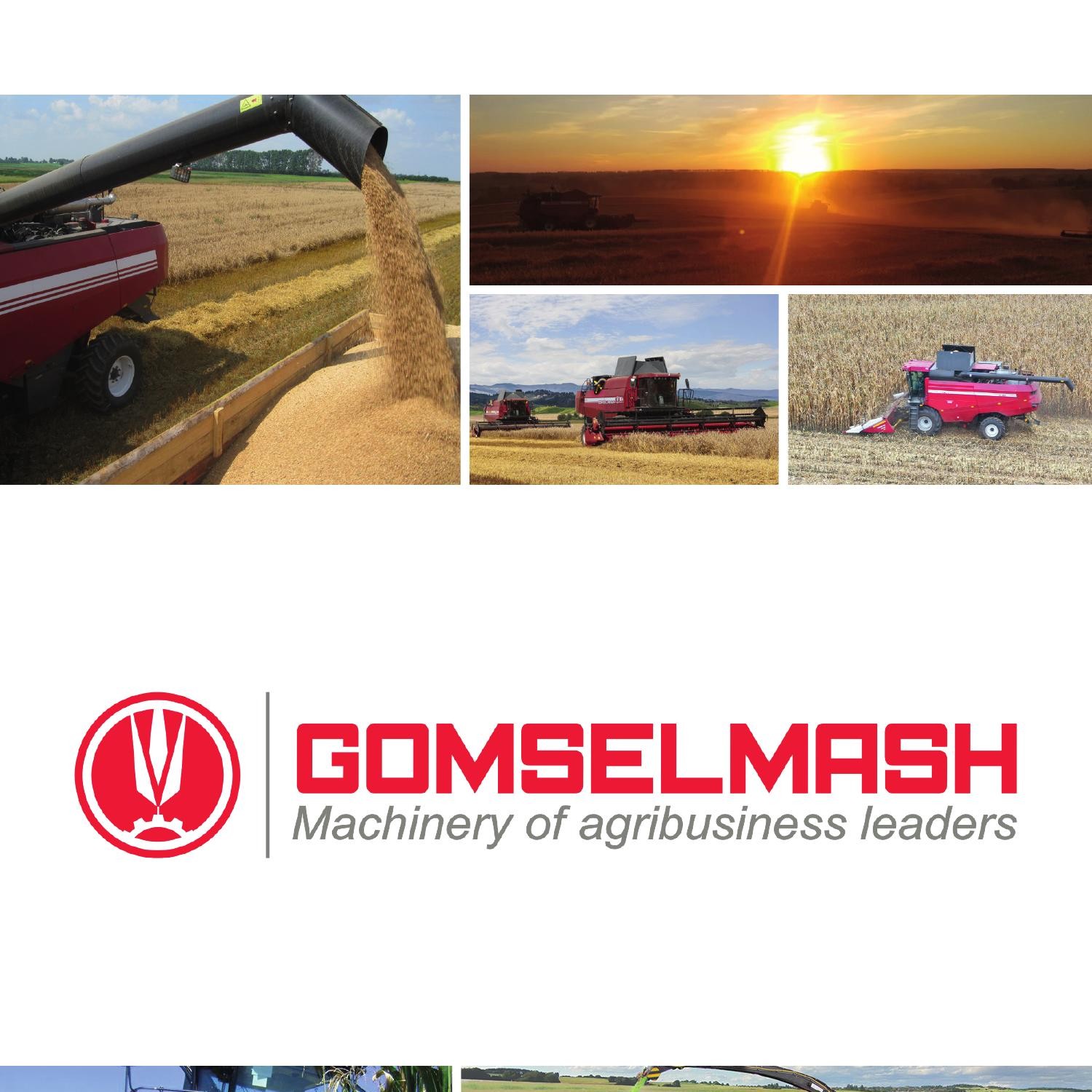Каталог GOMSELMASH 2022 ENG 12стр.pdf | DocDroid
