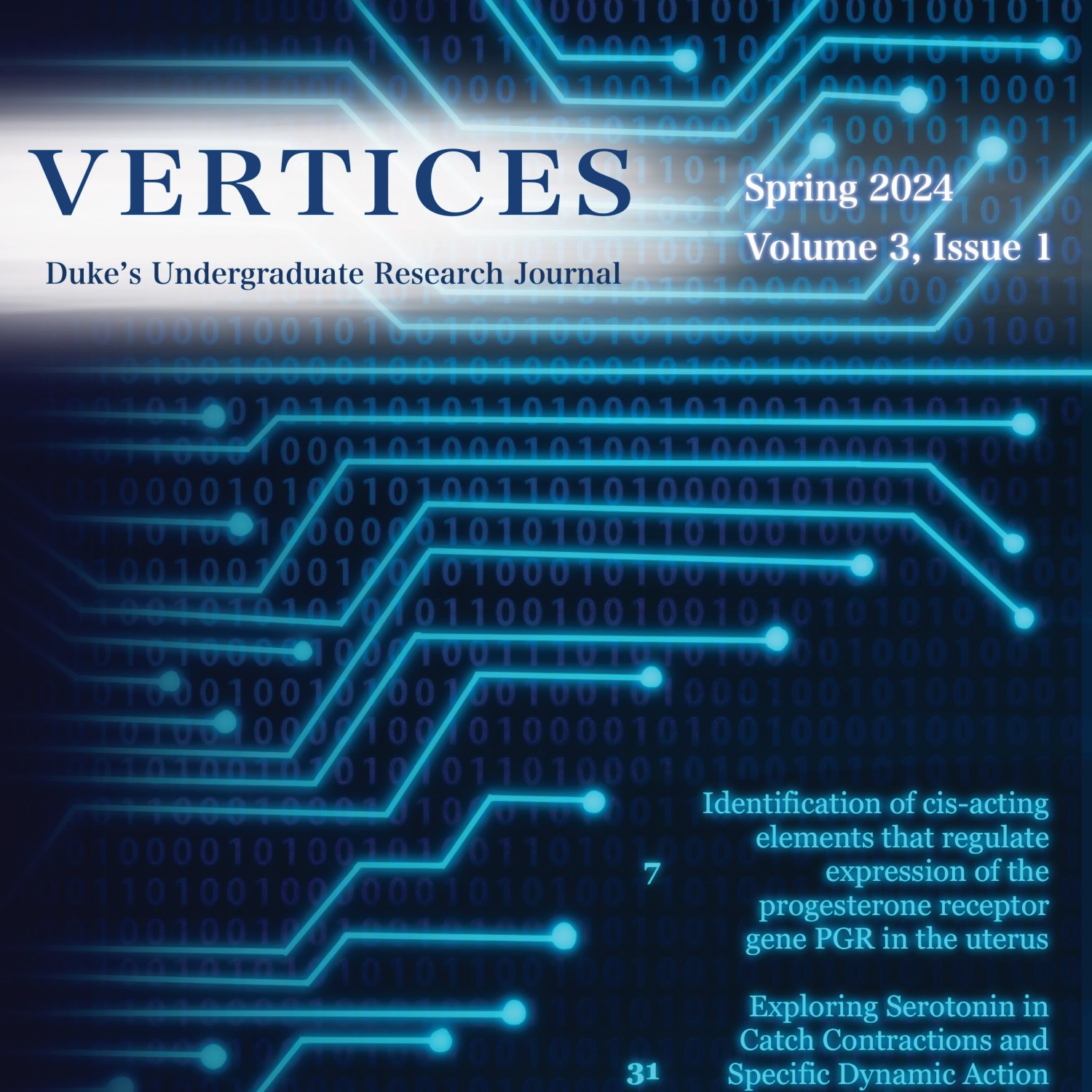 Vertices_S24_Volume_3_Issue_1.pdf | DocDroid